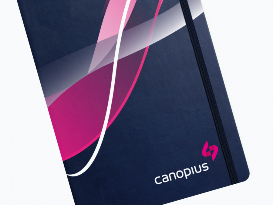 Client portfolio - Haggie Partners