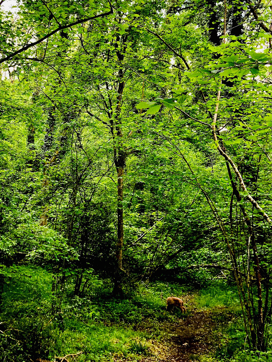 Photography competition - June 2021 - Green - Haggie Partners