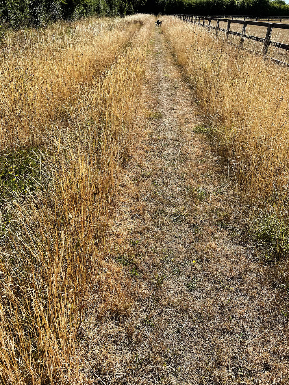 Photography competition - August 2022 - Dry - Haggie Partners
