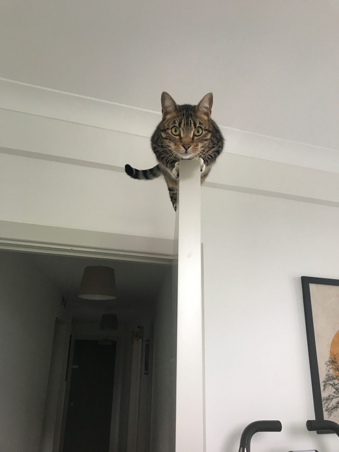 Photography competition - February 2024 - Taking a leap - Haggie Partners